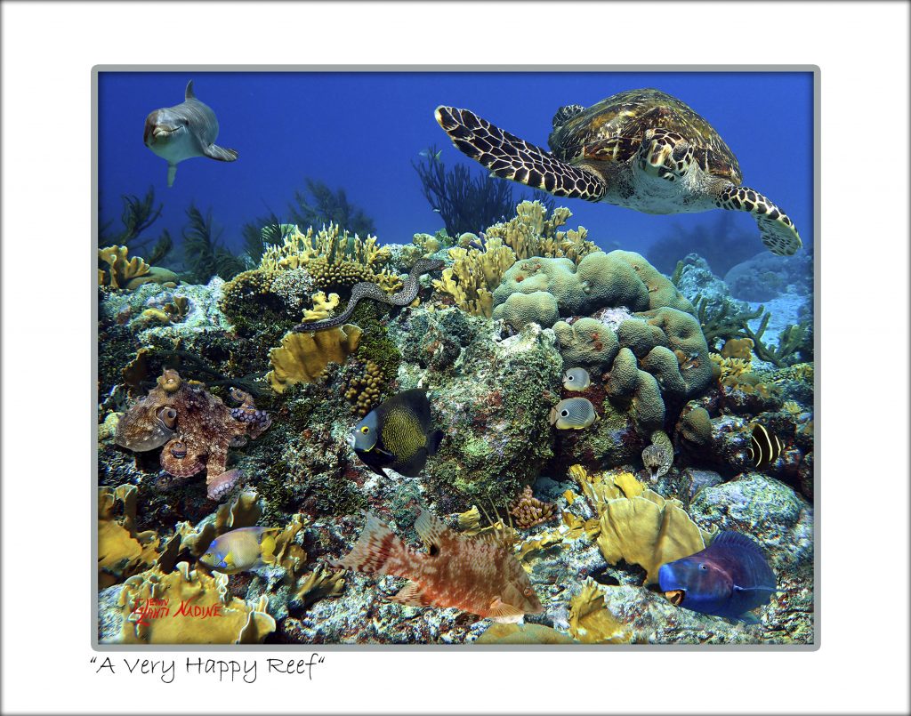 "A Very Happy Reef" | Lobster Trap Art