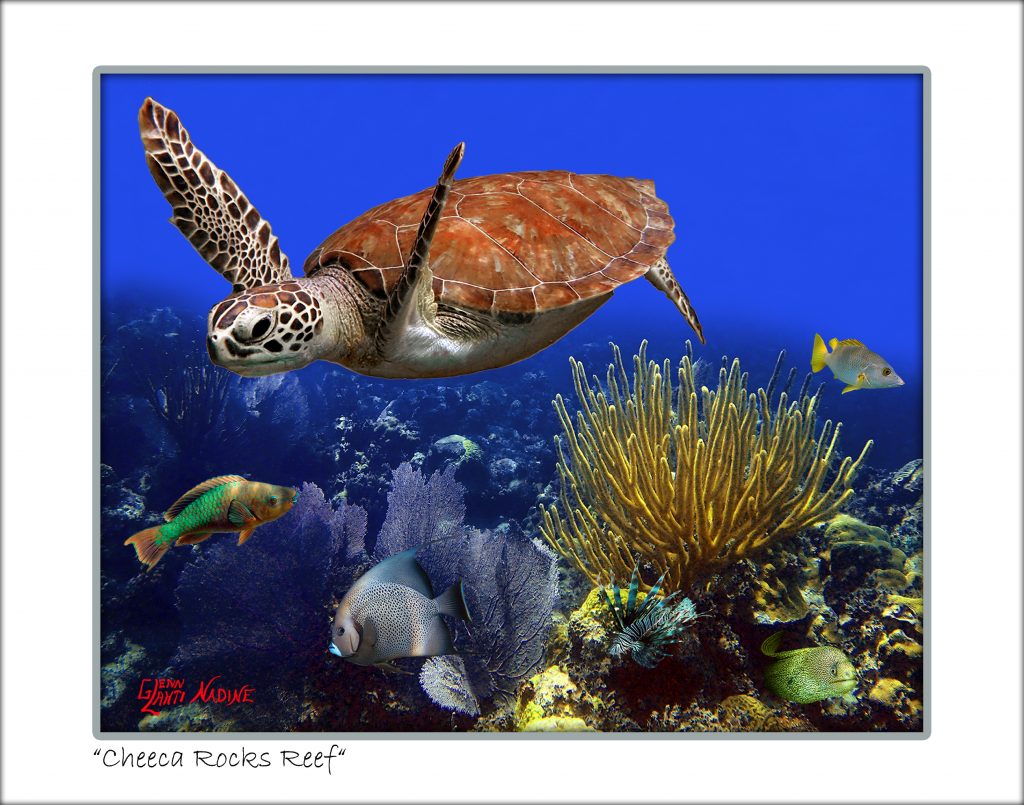 "Cheeca Rocks Reef" | Lobster Trap Art