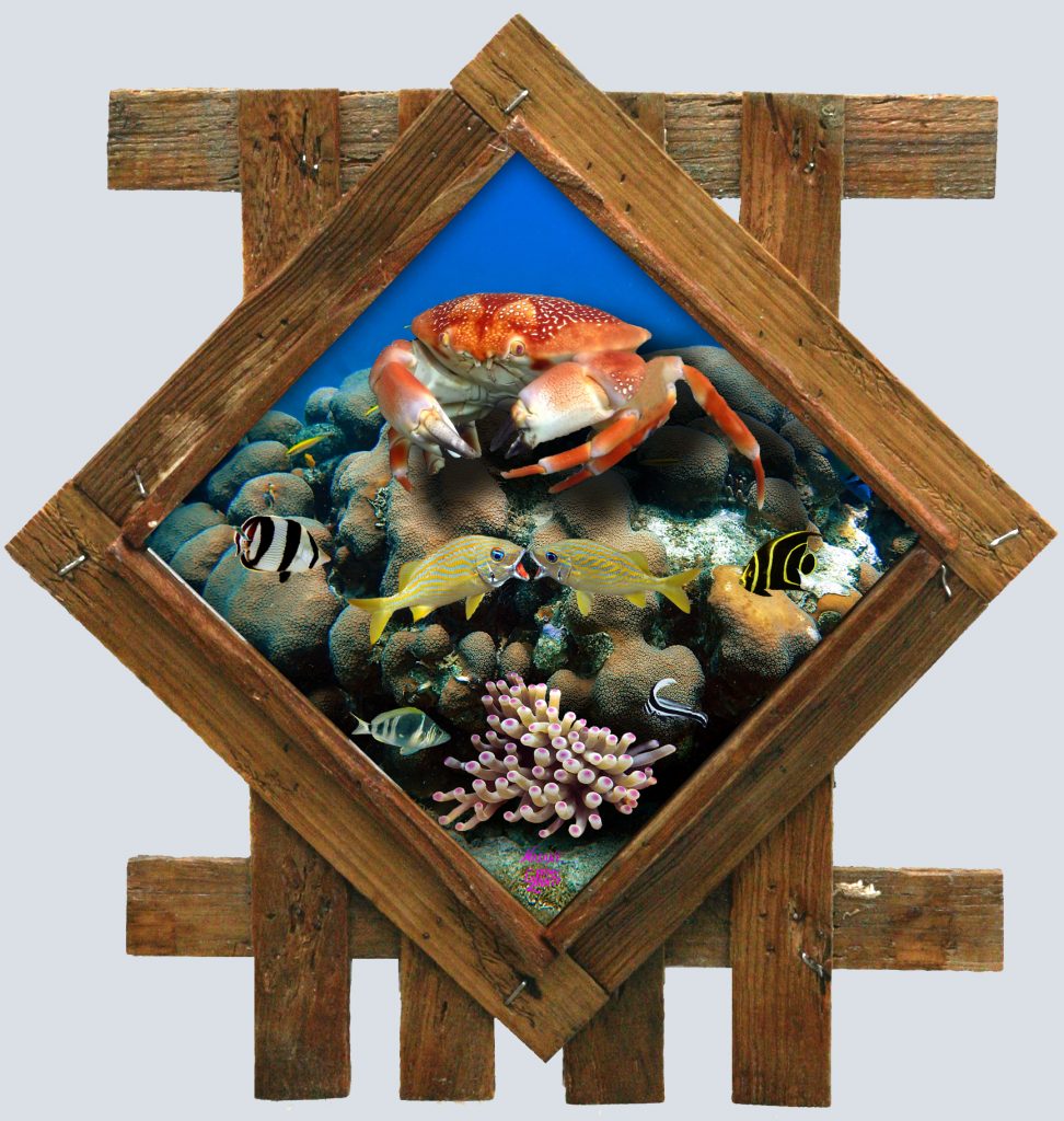 "Bat Crab and Friends" | Lobster Trap Art