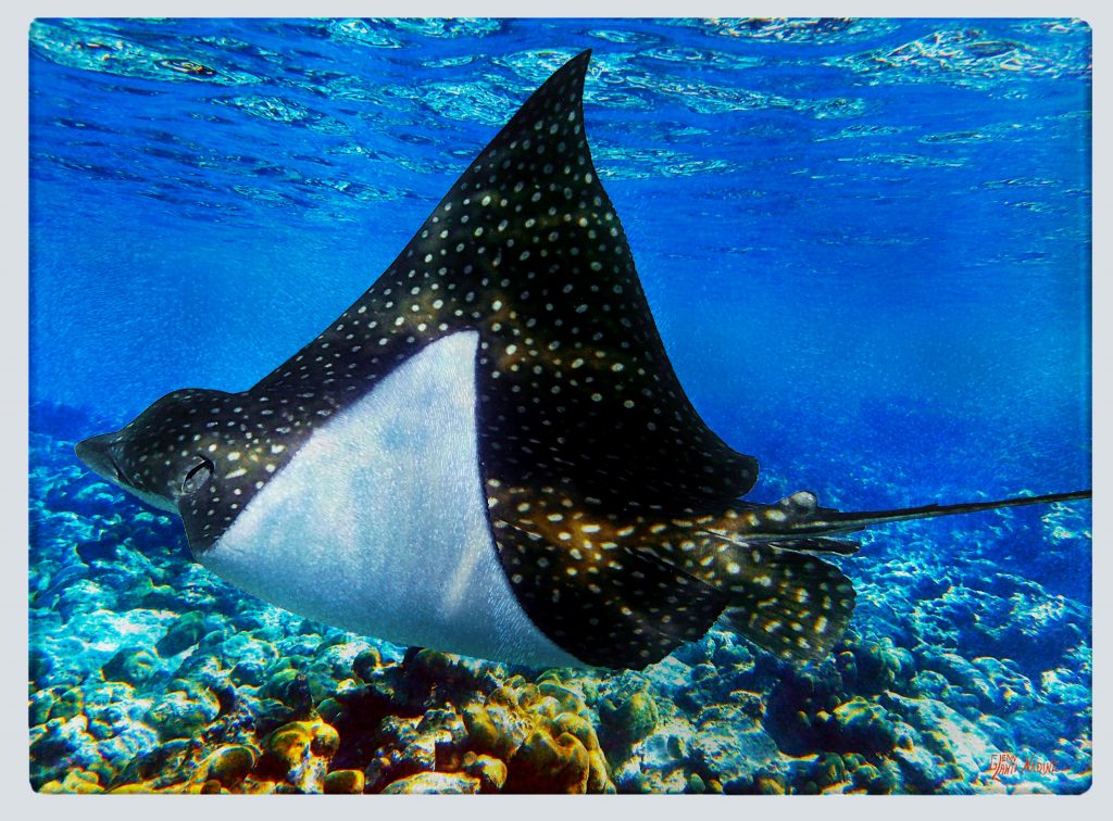 "Eagle Ray Flying By" Cutting Board | Lobster Trap Art