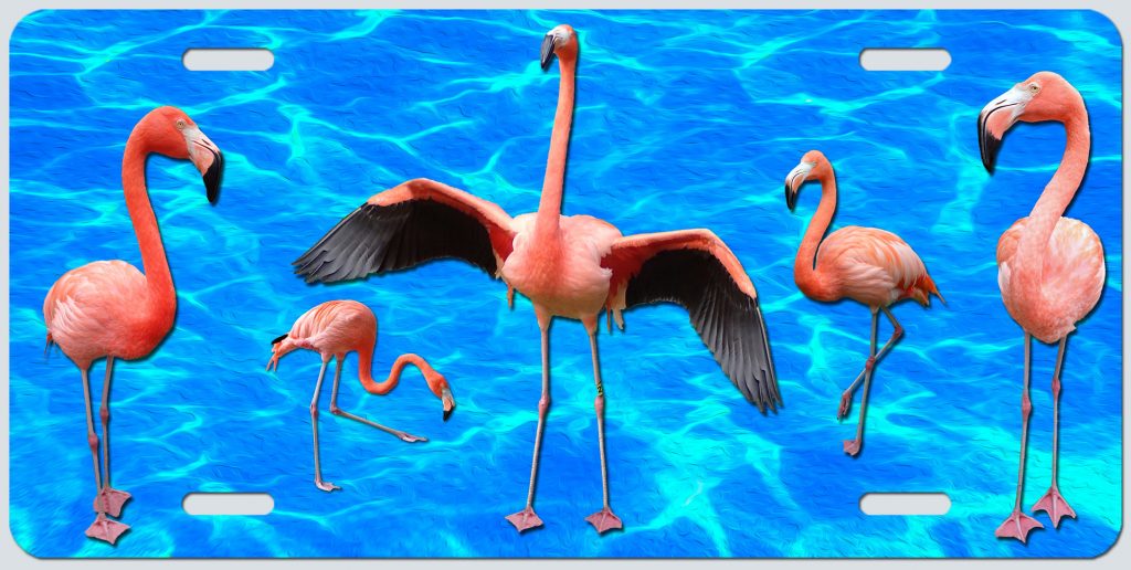 "Flamingo Friends" | Lobster Trap Art
