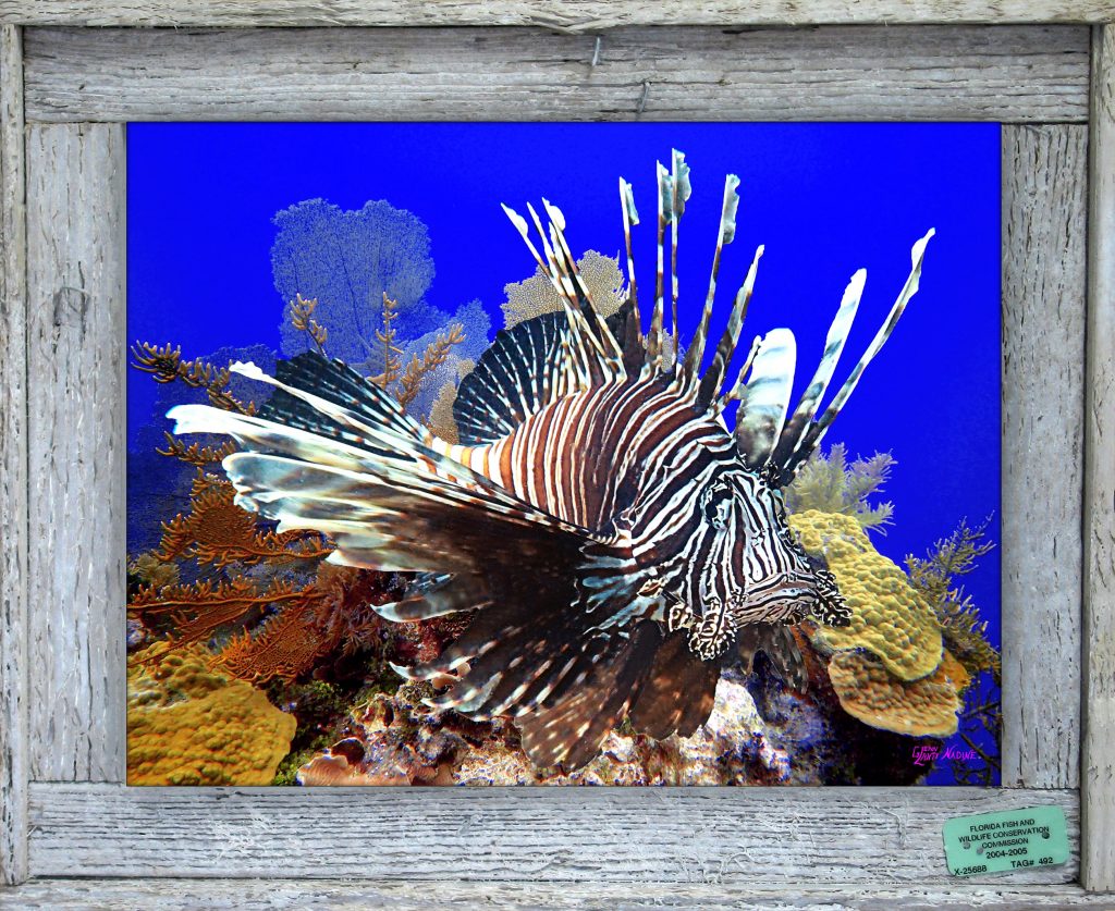 "Lionfish on the Reef" | Lobster Trap Art