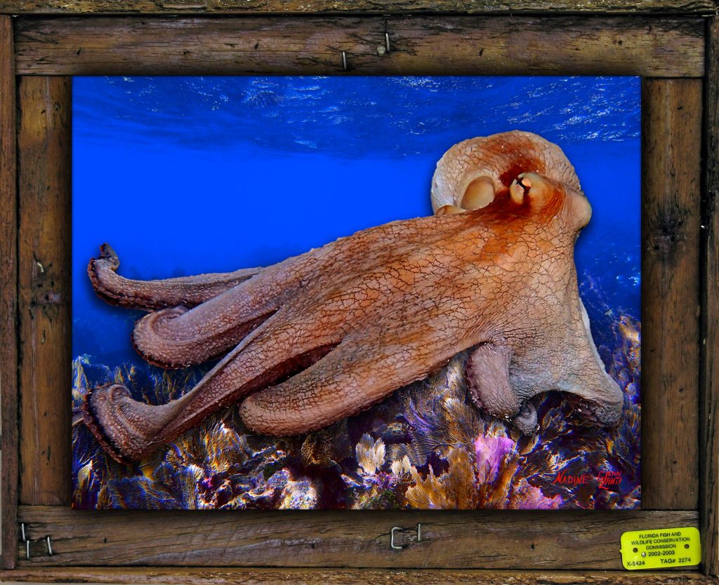 "Mr. Octopus" | Lobster Trap Art