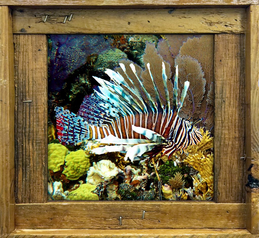 "Lionfish" | Lobster Trap Art