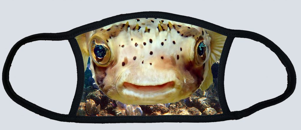 "Puffer Face" | Lobster Trap Art