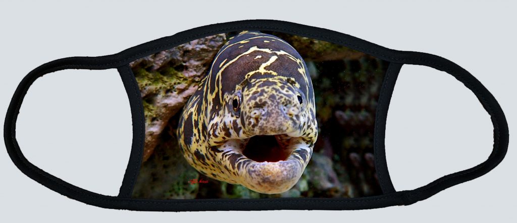 "Eel Face" | Lobster Trap Art