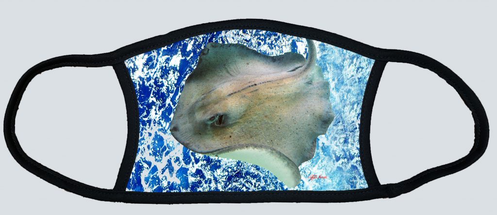 "Stingray" | Lobster Trap Art