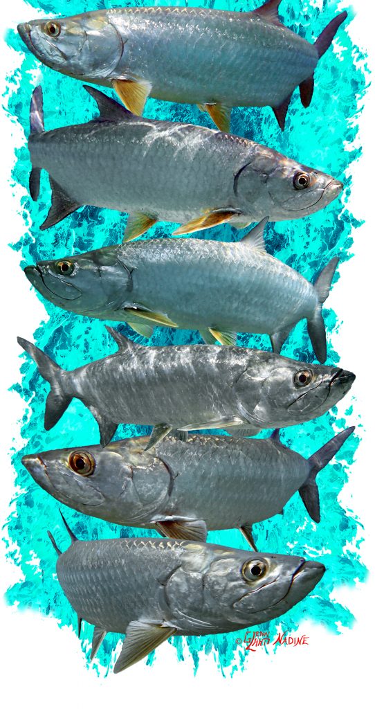 "Large Tarpon" Buff | Lobster Trap Art