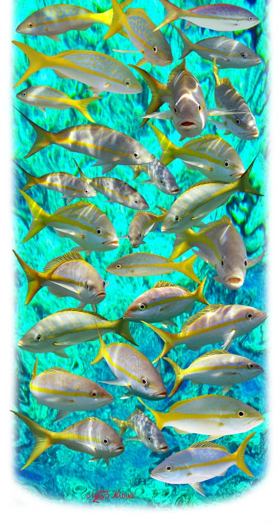 "Large Yellowtail" Buff | Lobster Trap Art