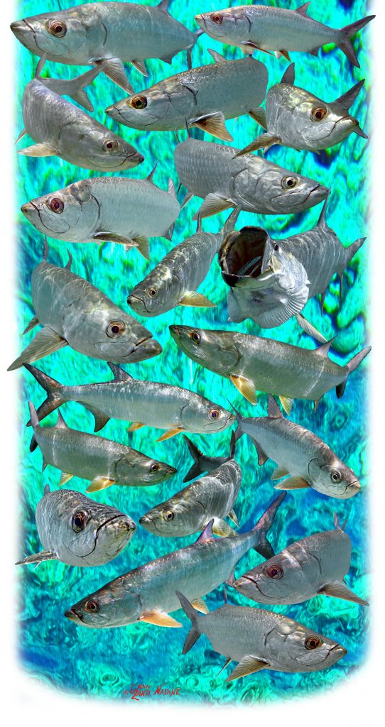 "Tarpon Multi" Buff | Lobster Trap Art